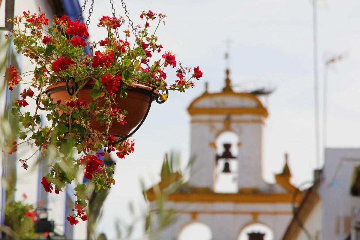 Cordoba's San Basilio: A Hidden Gem Explored - Planet Dreaming
